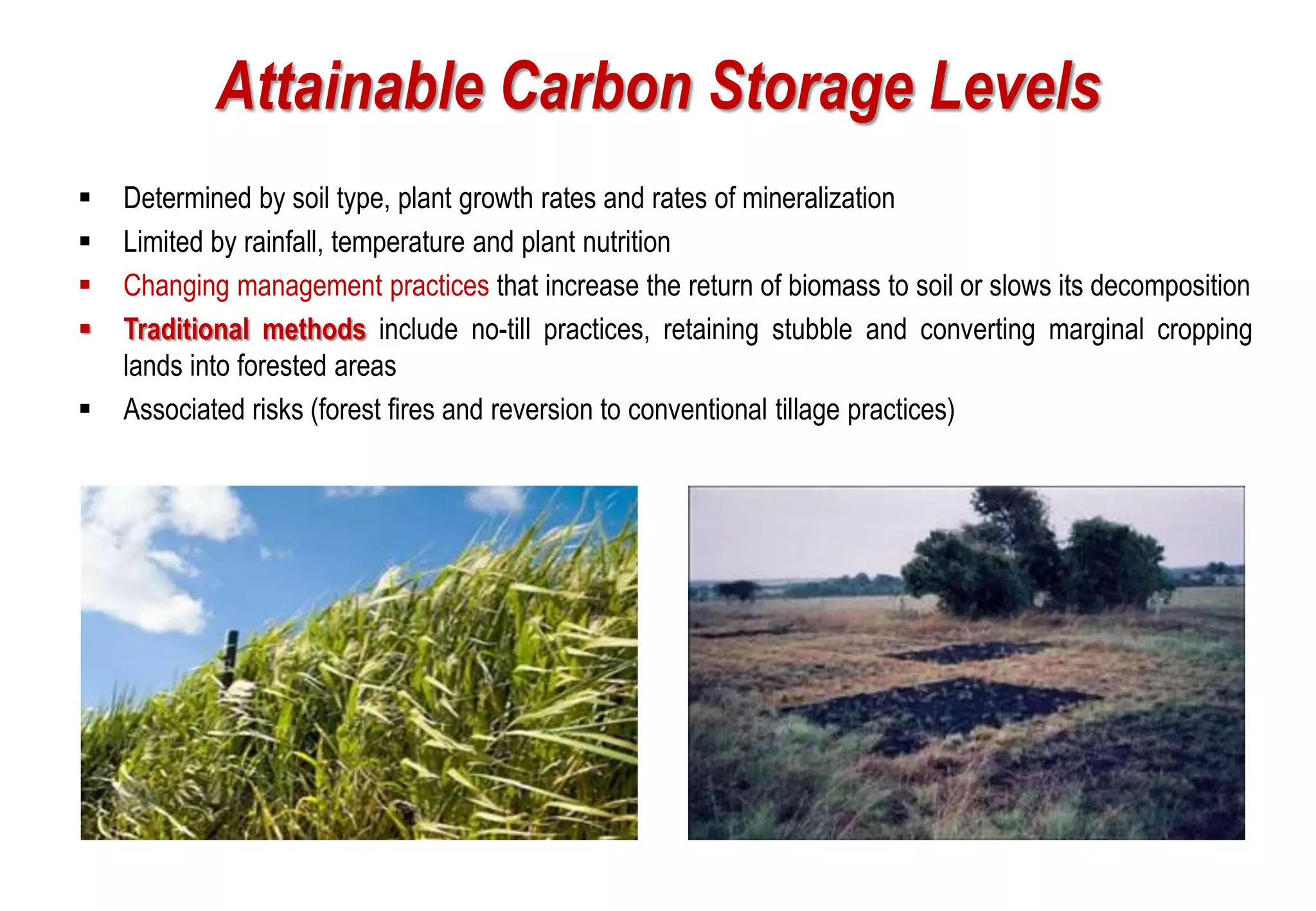 Biochar for Carbon Sequestration.pdf