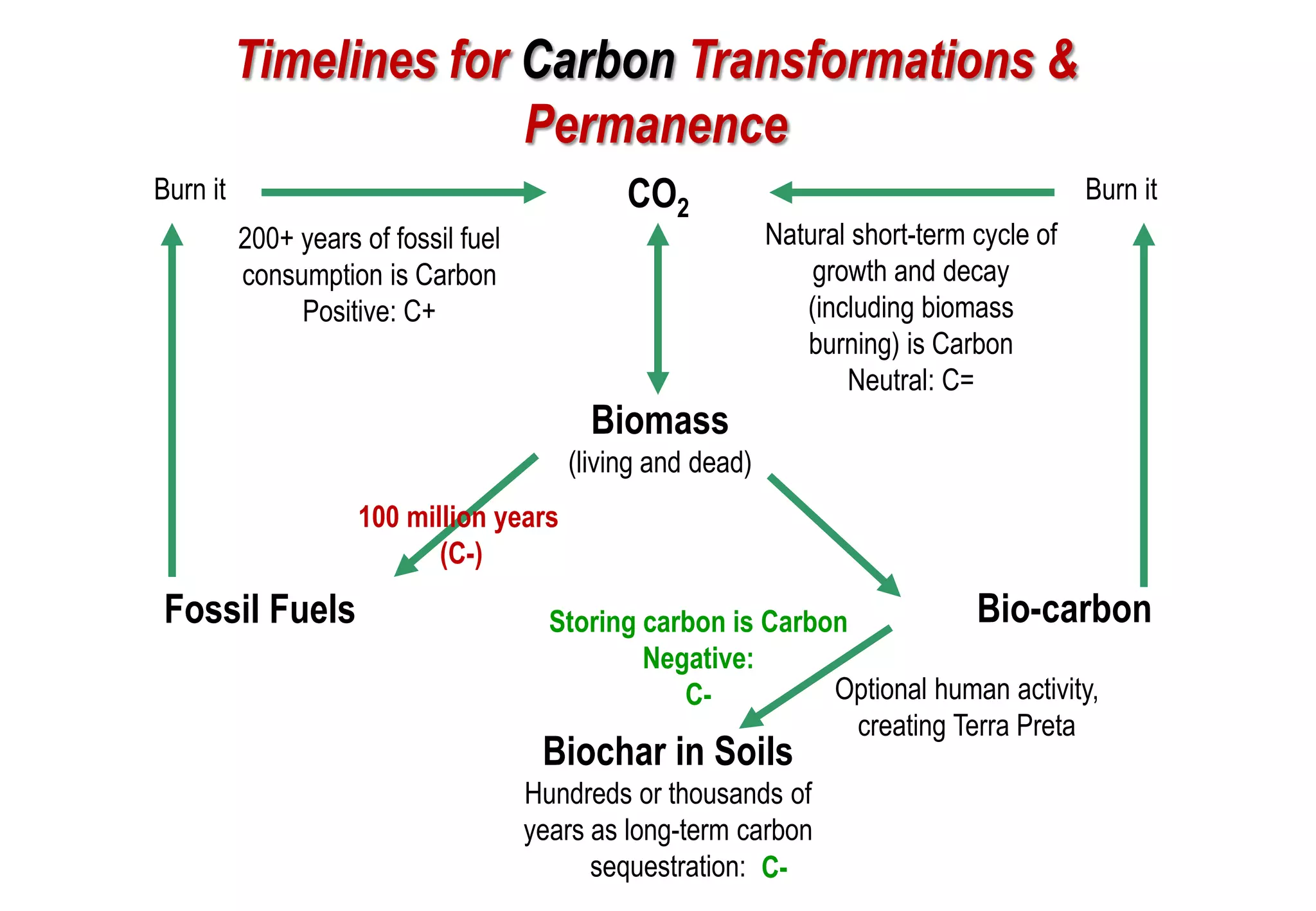 Biochar for Carbon Sequestration.pdf