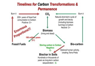 Biochar for Carbon Sequestration.pdf