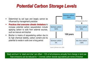 Biochar for Carbon Sequestration.pdf