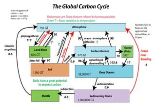 Biochar for Carbon Sequestration.pdf