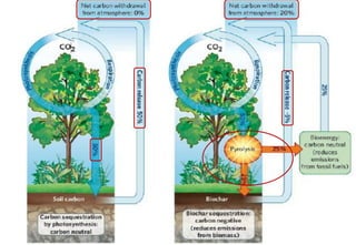 Biochar for Carbon Sequestration.pdf