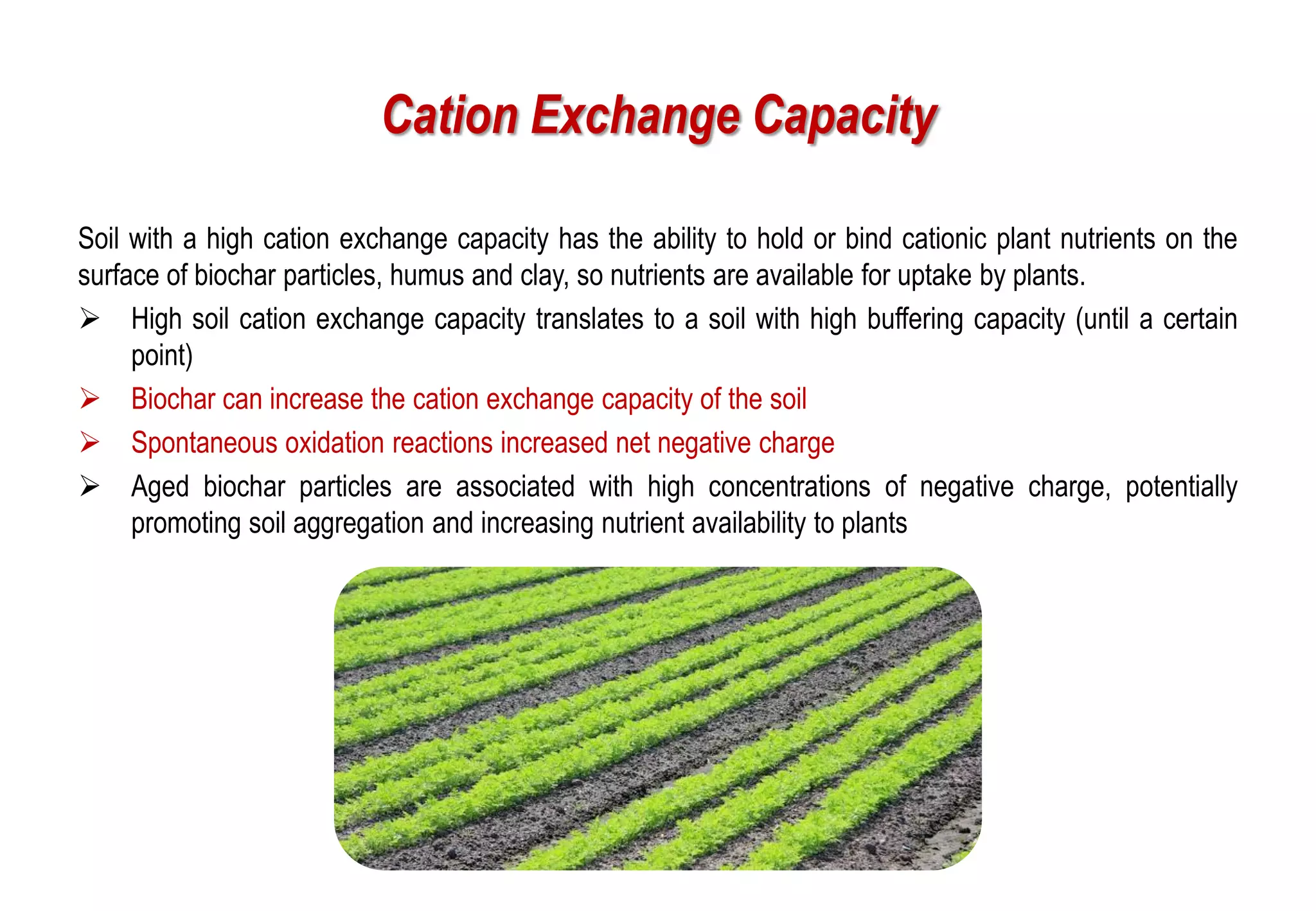 Biochar for Soil Improvement.pdf
