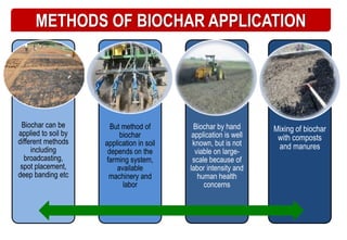 Biochar for Soil Improvement.pdf | Agriculture | Industries