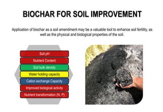 Biochar for Soil Improvement.pdf | Agriculture | Industries