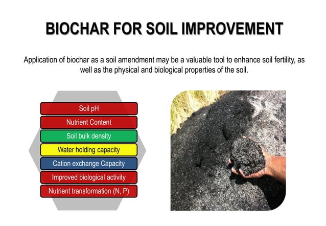 Biochar for Soil Improvement.pdf | Agriculture | Industries