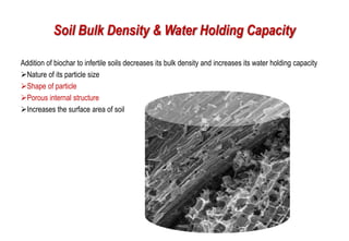 Biochar for Soil Improvement.pdf | Agriculture | Industries