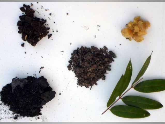 Biochar part 2 | PPT