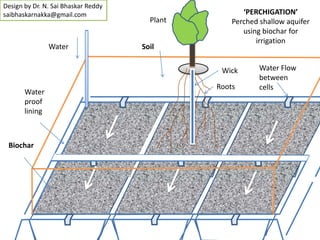Perchigation - Biochar perched water irrigation | PPTX | Agriculture ...