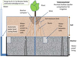 Perchigation - Biochar perched water irrigation | PPTX | Agriculture ...