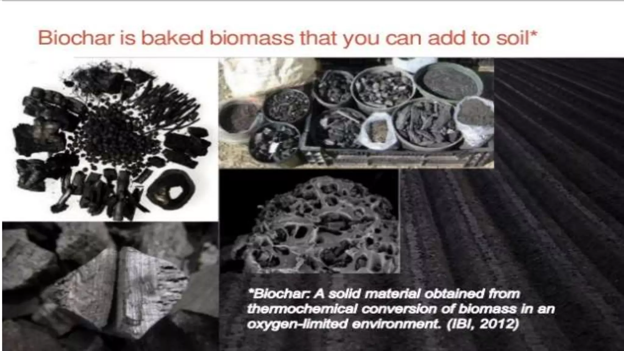 Biochar as Soil Conditioner | PPTX