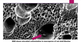 Biochar as Soil Conditioner | PPTX