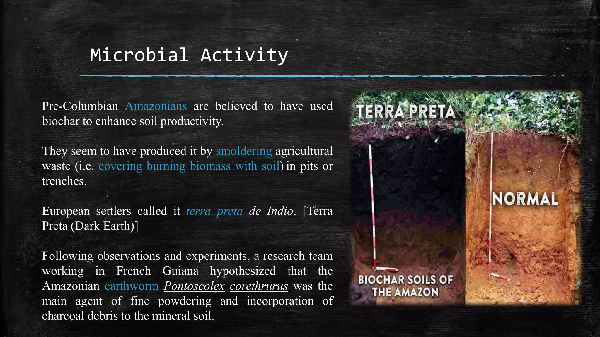 Biochar Preparation & Application | Water Pollution & Control | Course ...