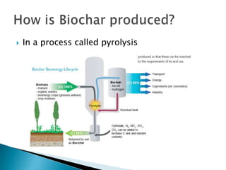 Biochar presentation | PPTX | Agriculture | Industries