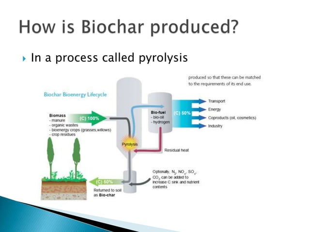 Biochar presentation | PPTX | Agriculture | Industries