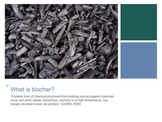 Biochar presentation | PPTX