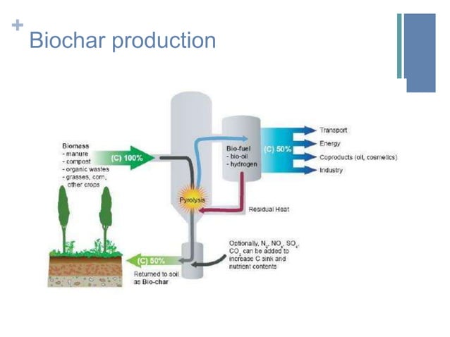 Biochar presentation | PPTX