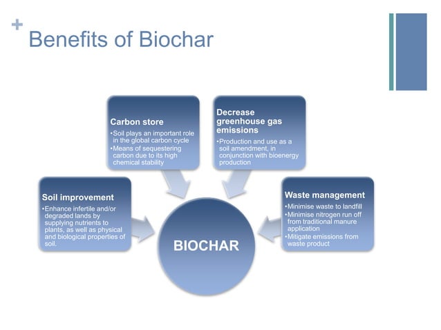 Biochar presentation | PPTX