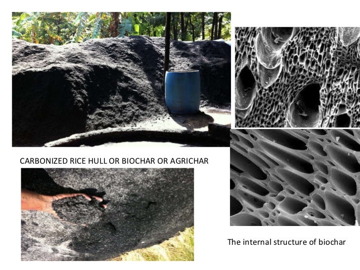 Biochar presentation for network building