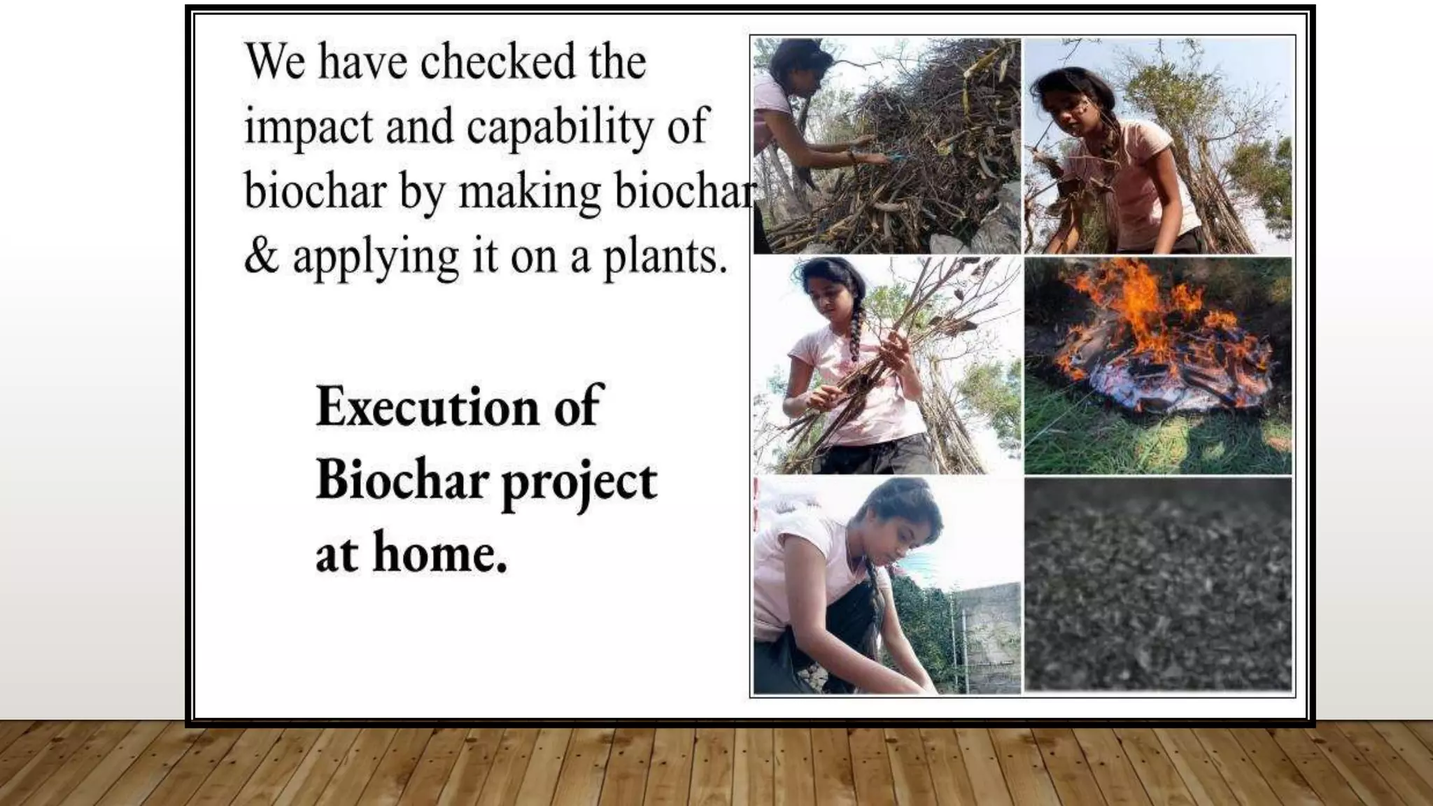 Biochar Project Final PPT-1 .pptx