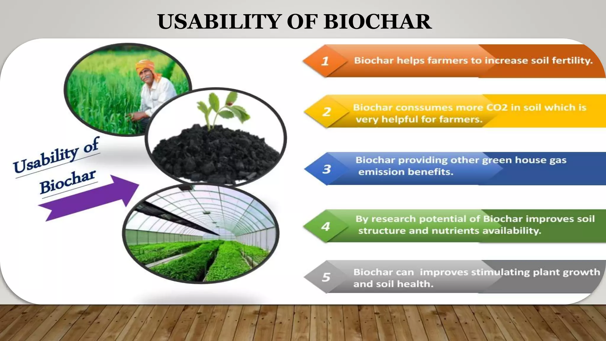 Biochar Project Final PPT-1 .pptx