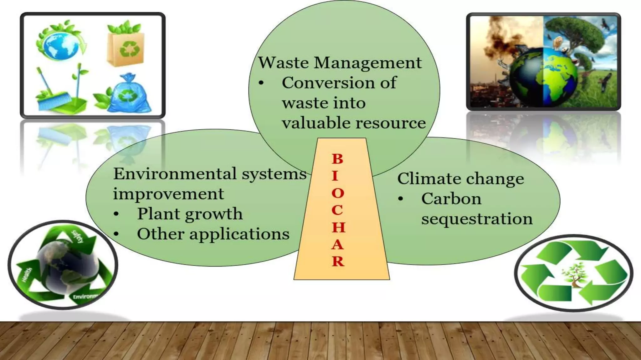 Biochar Project Final PPT-1 .pptx