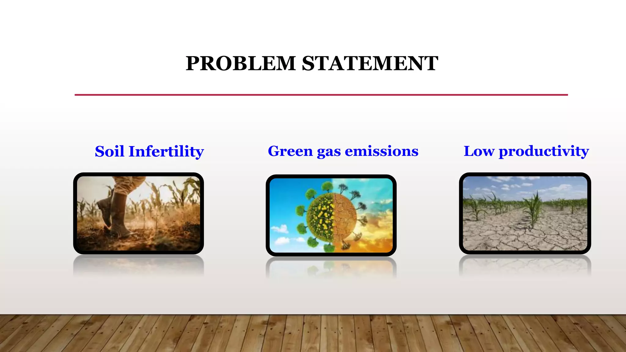 Biochar Project Final PPT-1 .pptx