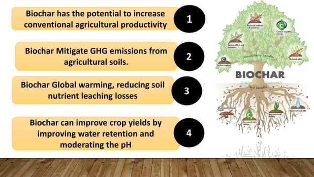Biochar Project Final PPT-1 .pptx | Agriculture | Industries