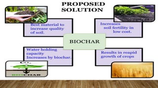 Biochar Project Final PPT-1 .pptx