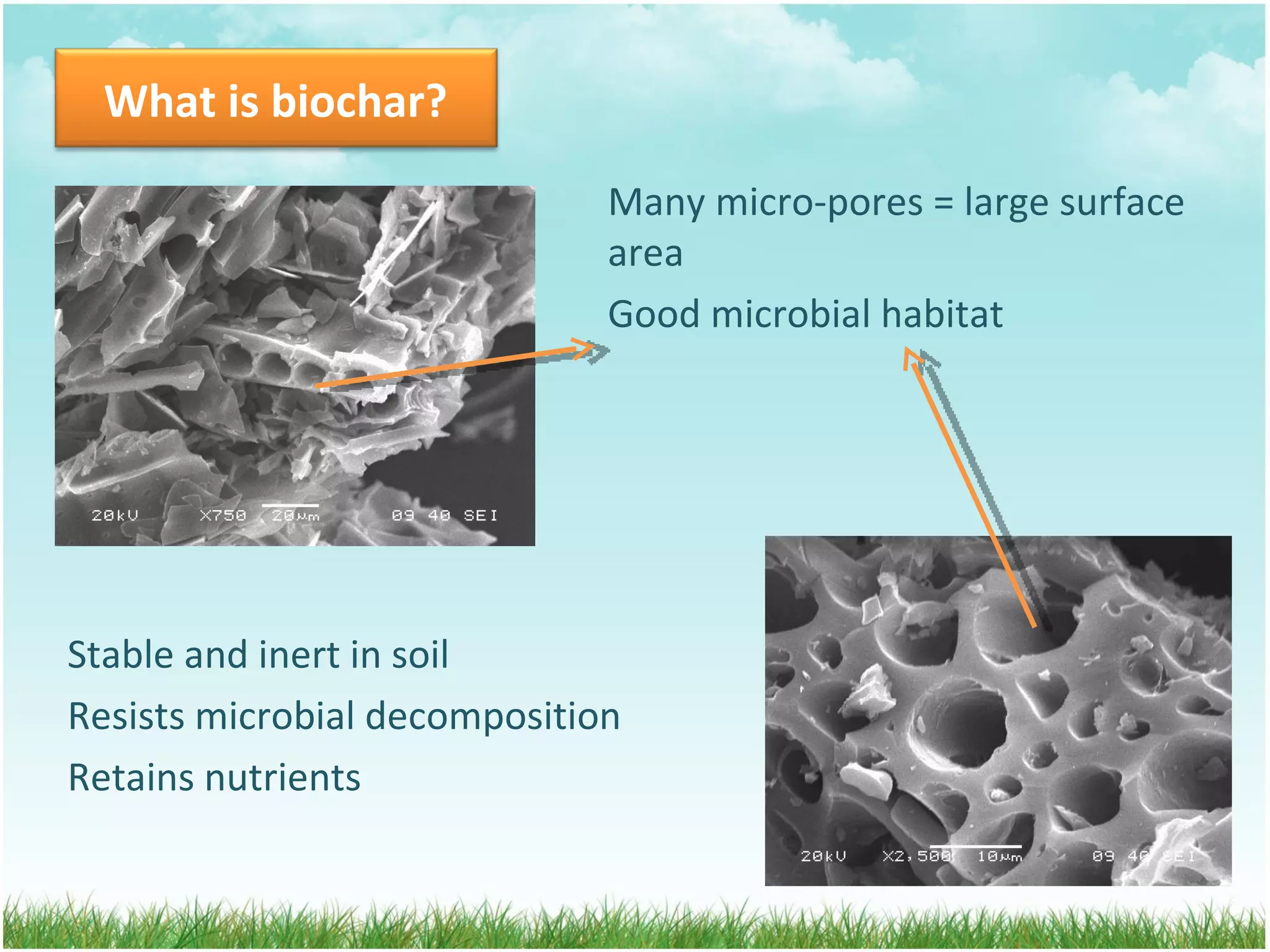 Biochar root growth_and_rhizosphere_communities[linkedi] | PPT