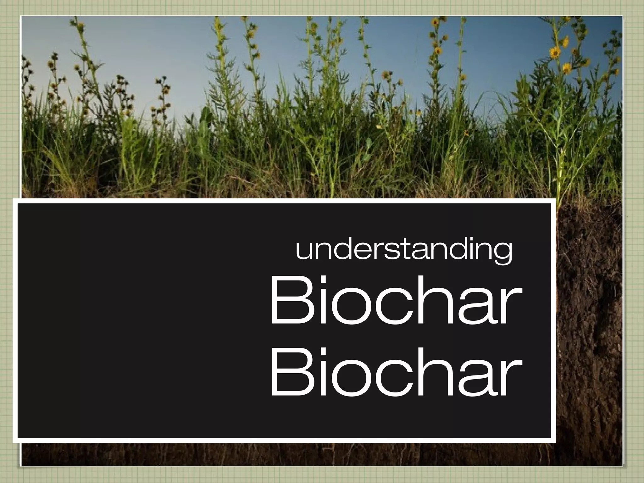 Biochar slideshow | PPT