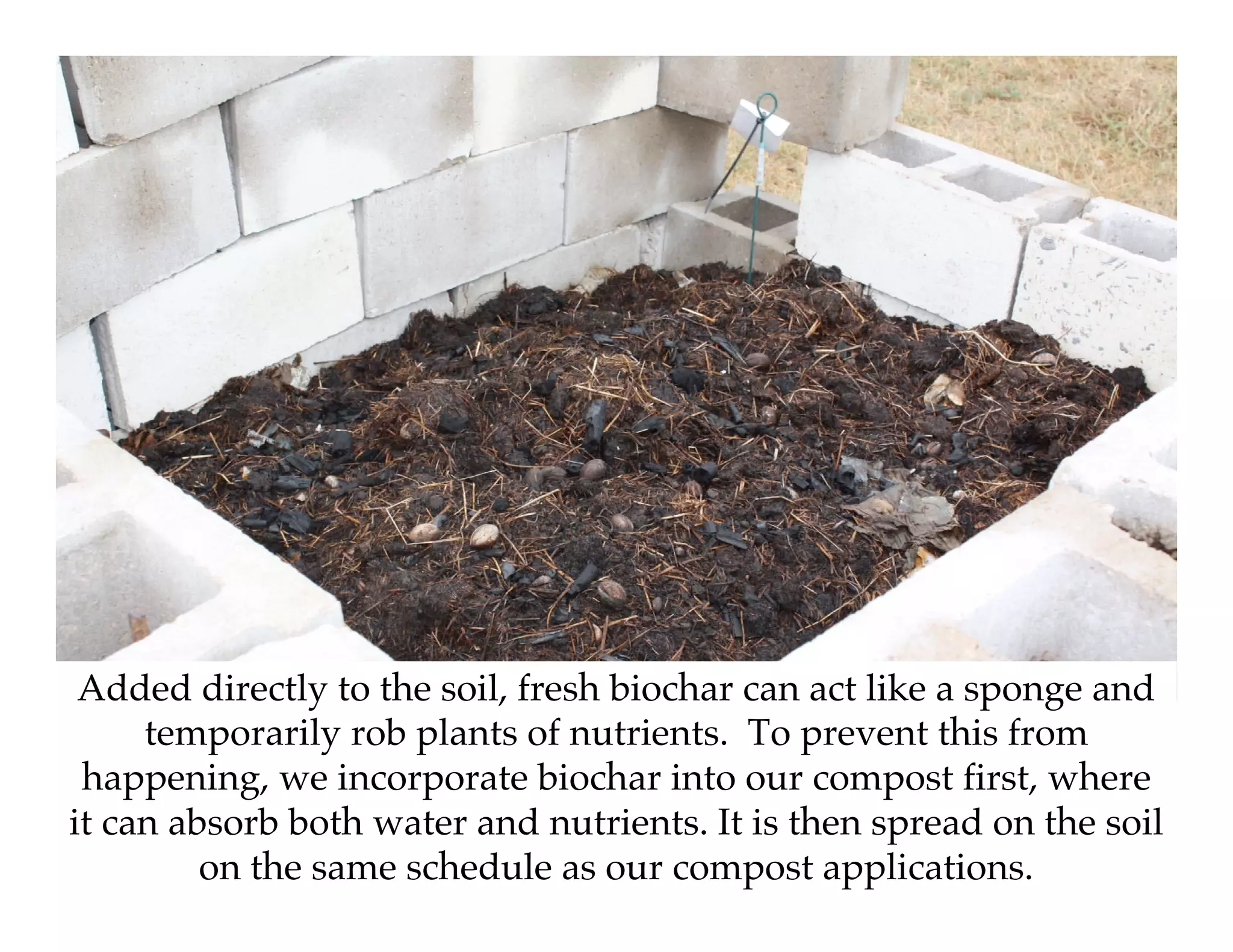 What Is Biochar? | PDF