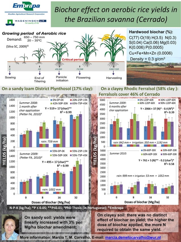 Biochar workshop poster marcia | PDF