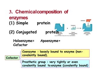 Bioche-1_PPT-Vasuk-Devi.pptxmmmmmmmmmmmmm | PPT