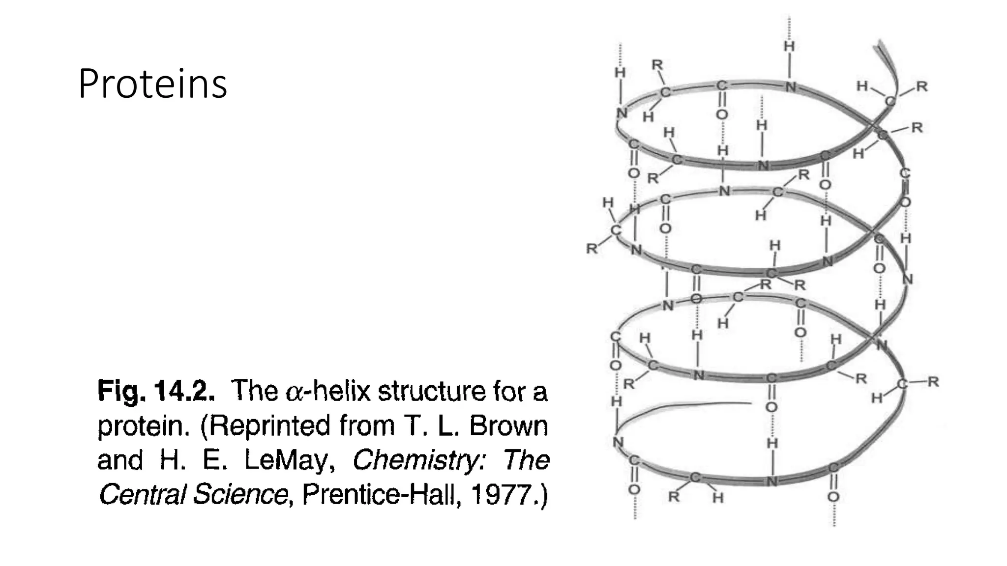 Biochemistry/Membrane potential | PPTX