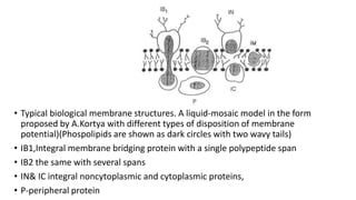 Biochemistry/Membrane potential | PPTX
