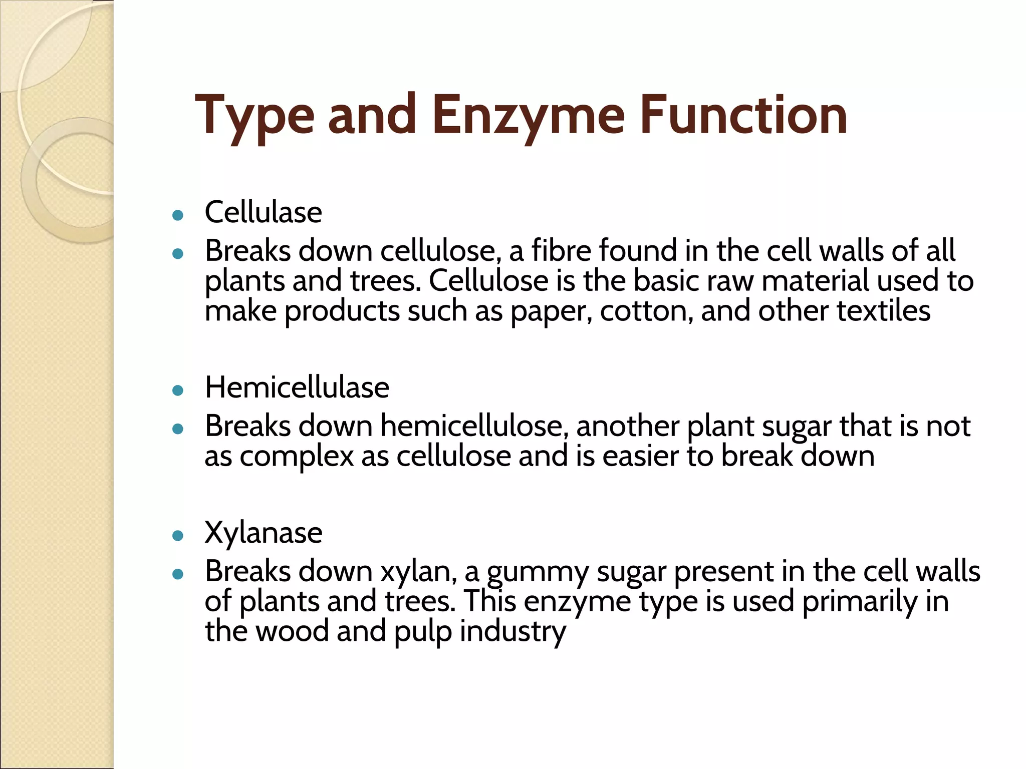 Applications of Enzymes | PDF