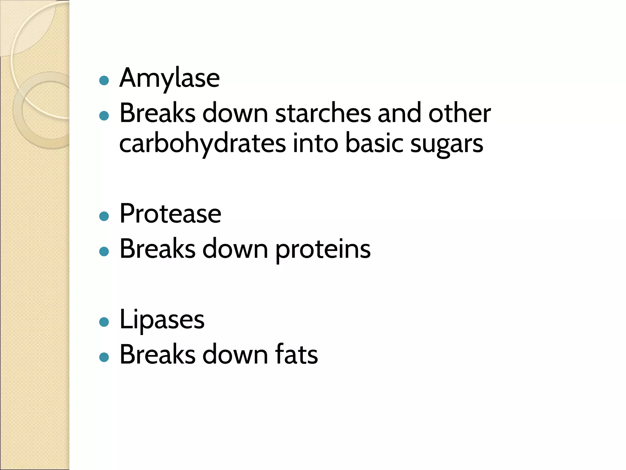 Applications of Enzymes | PDF