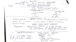 Liver function tests | PPTX | Blood Disorders | Diseases and Conditions