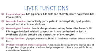 Liver function tests | PPTX | Blood Disorders | Diseases and Conditions