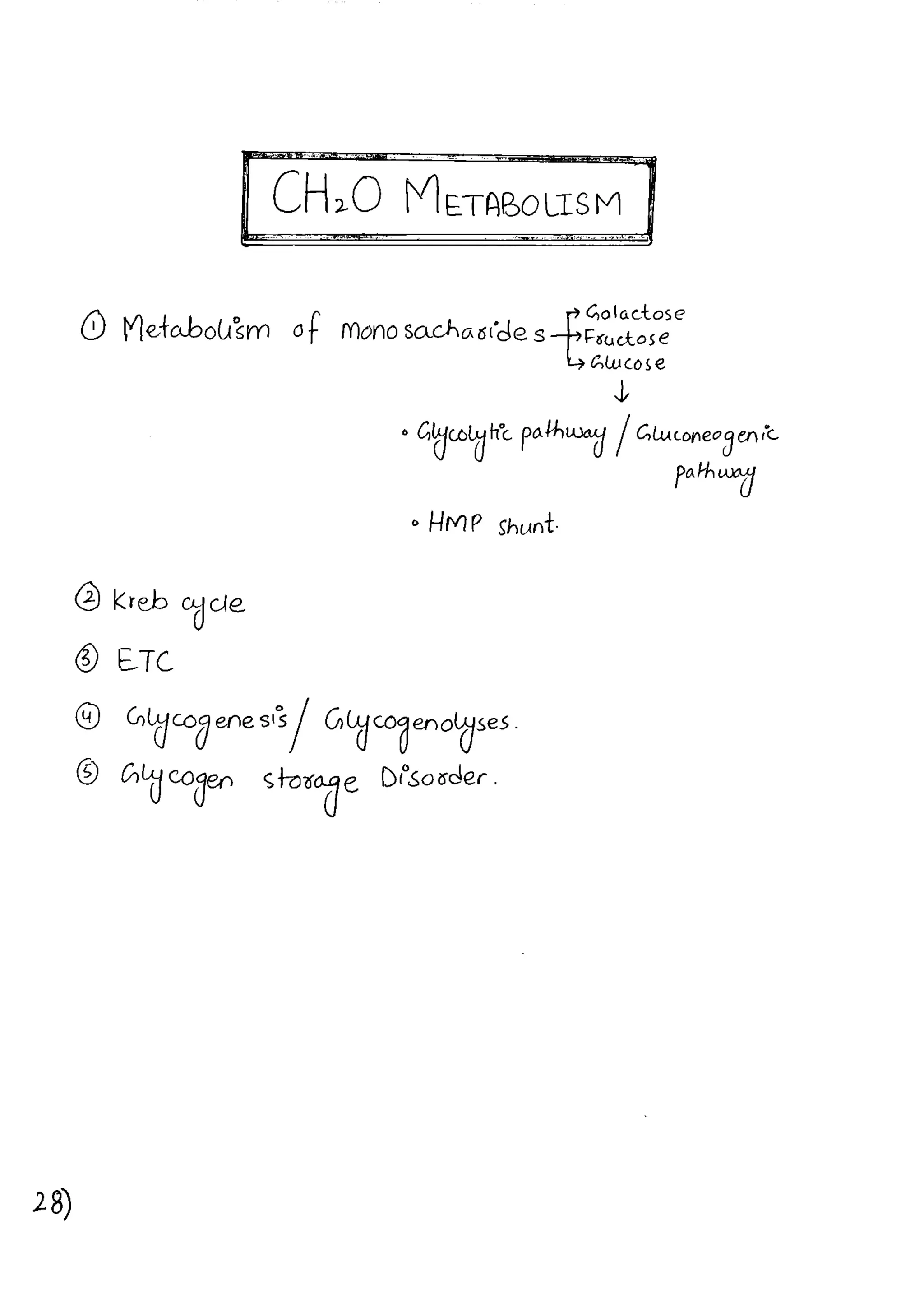 Biochemistry hand made notes.pdf