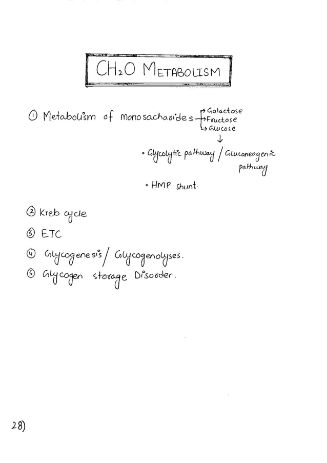 Biochemistry hand made notes.pdf | Chemistry | Science