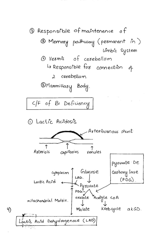 Biochemistry hand made notes.pdf | Chemistry | Science