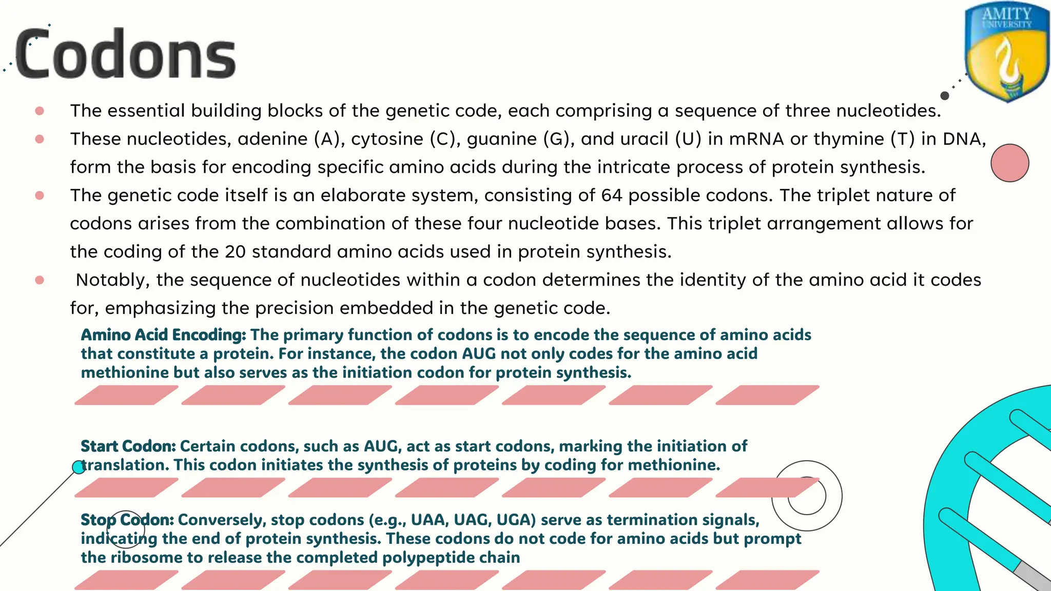 Biochem genetic code basics b pharm .pptx