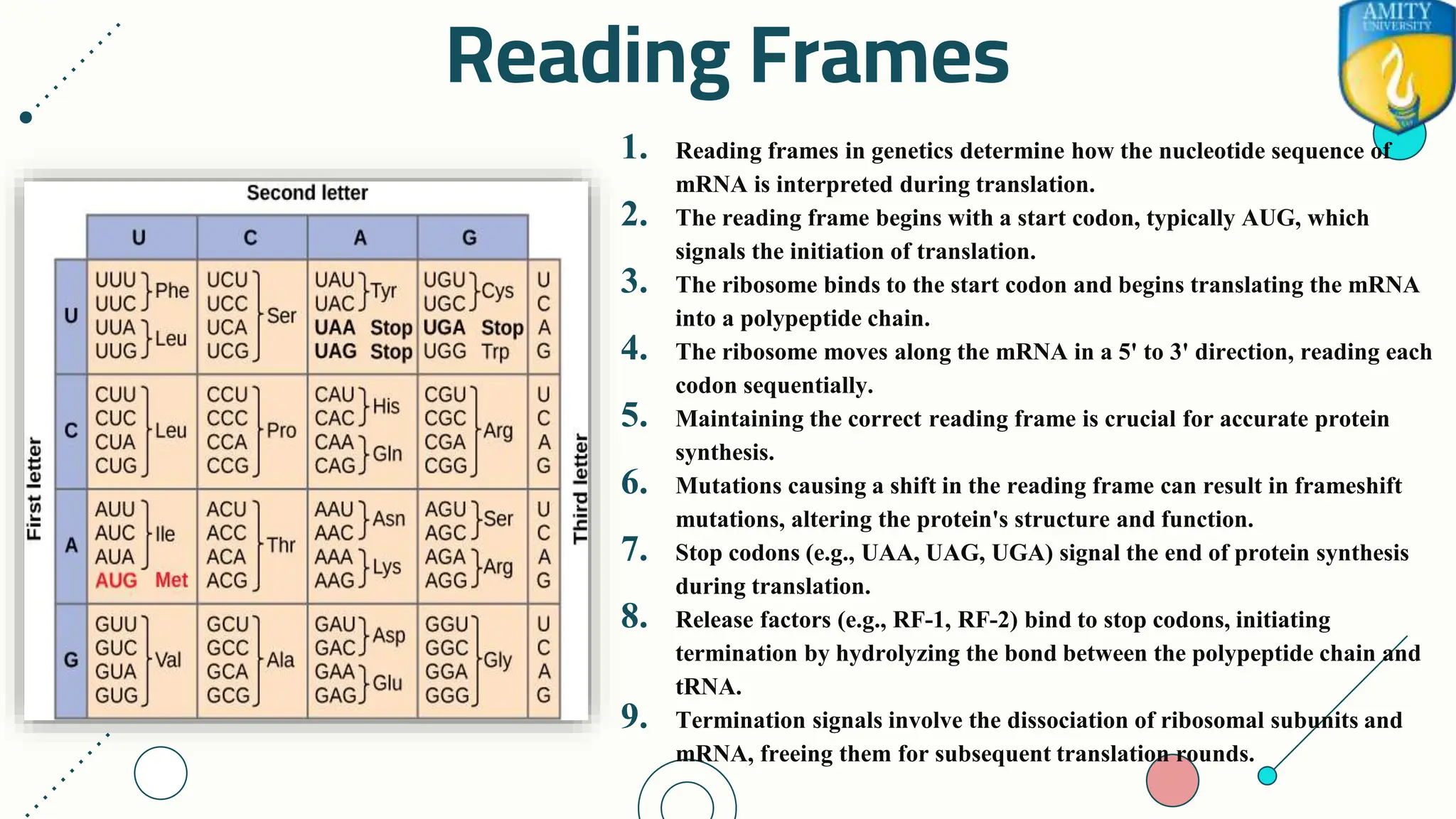Biochem genetic code basics b pharm .pptx