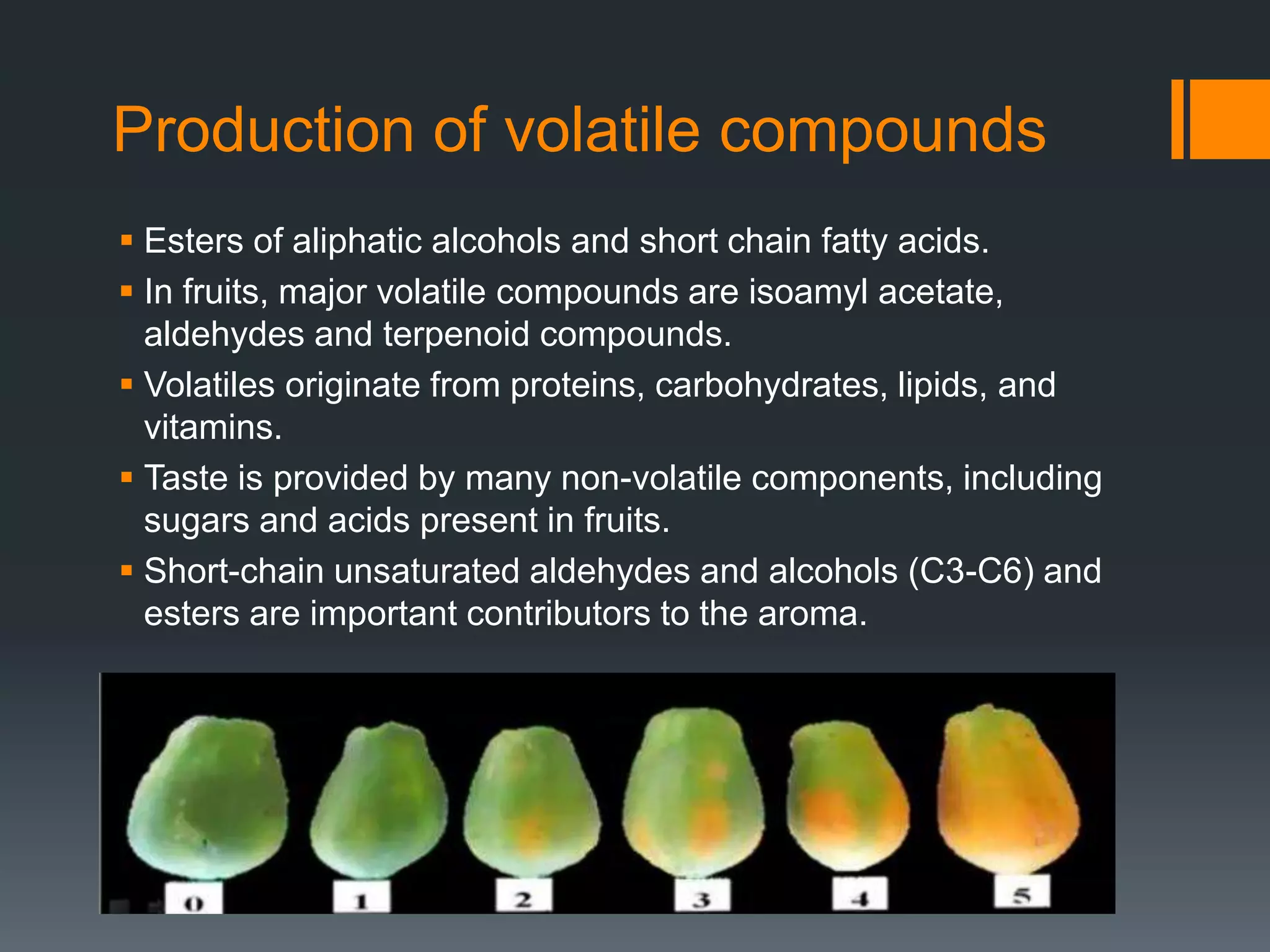 Biochemistry of Fruit Ripening | PPTX