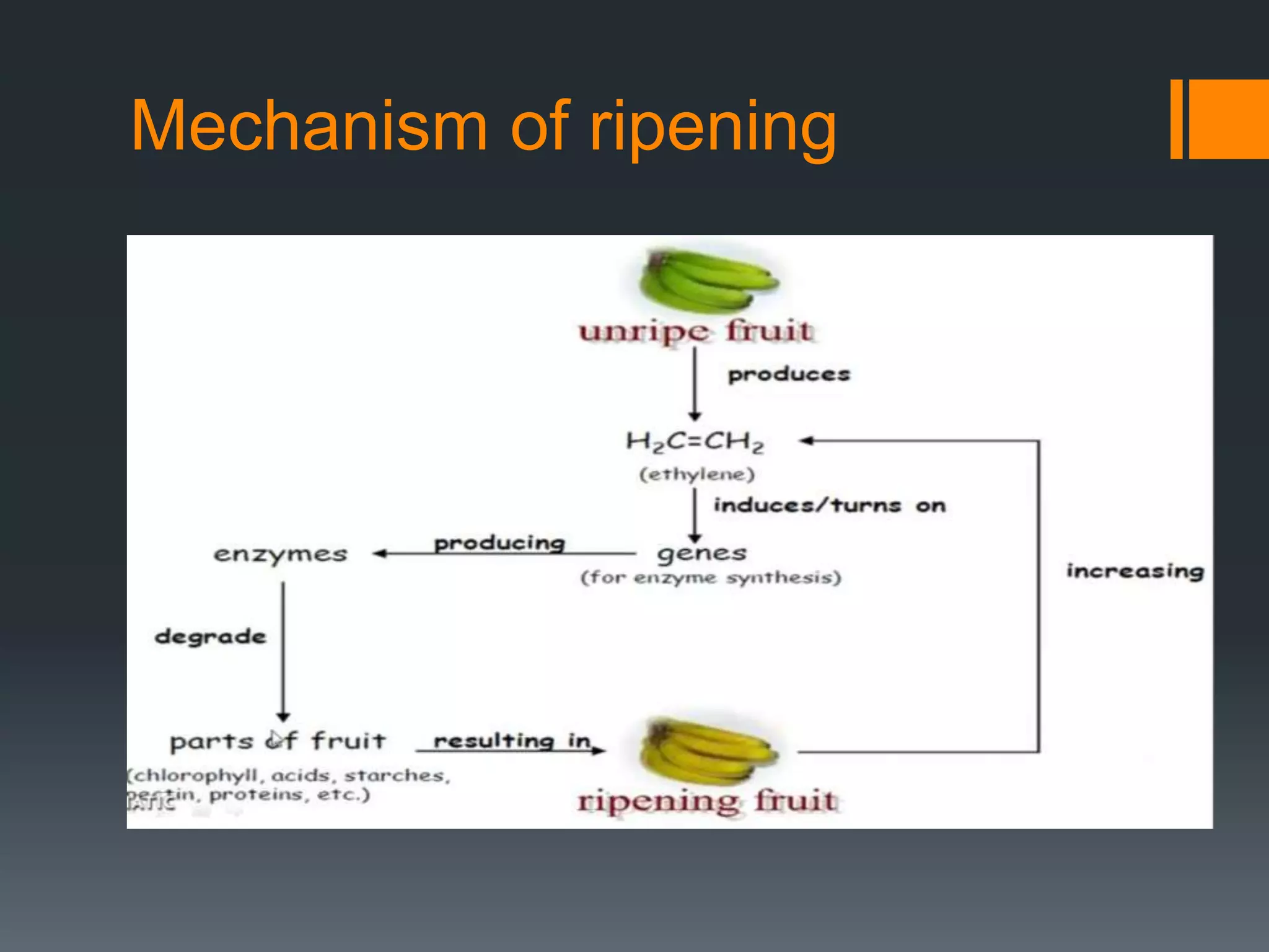Biochemistry of Fruit Ripening | PPTX