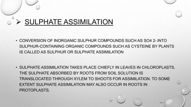 SULPHATE REDUCTION AND INCORPORATION OF SULPHUR INTO AMINO ACIDS | PPT