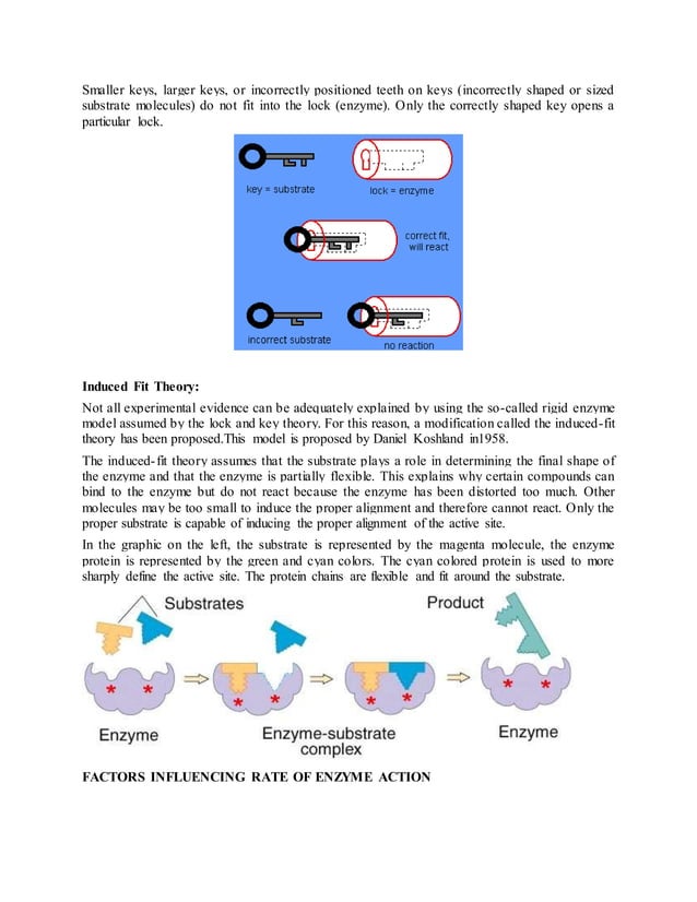 Enzyme kinetics | PDF