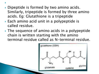 Level of structural organization of proteins in description | PPT